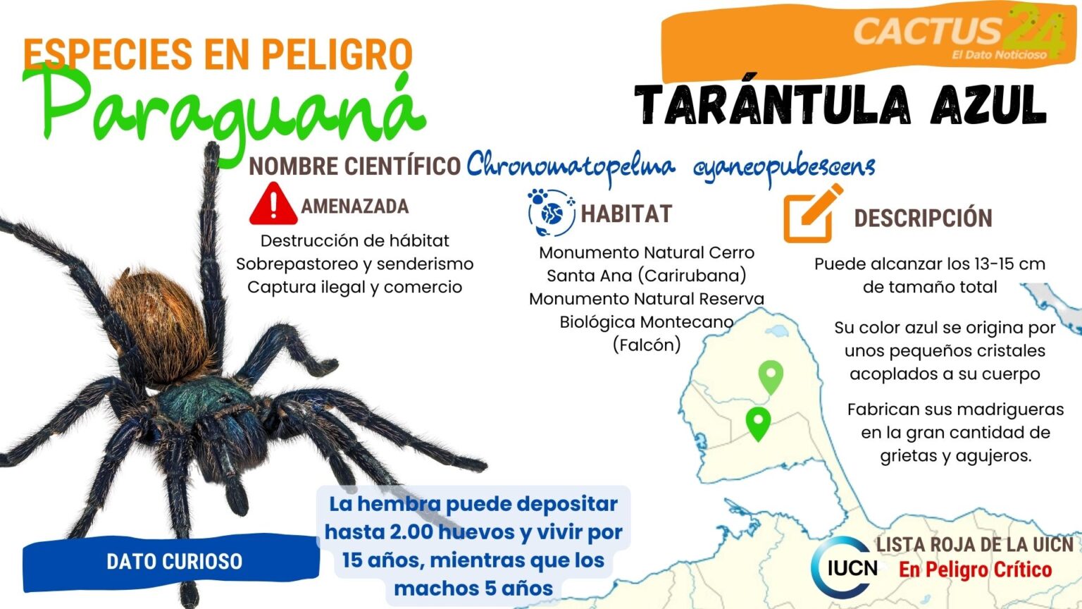 Cinco especies de Paraguaná están en peligro por el sobrepastoreo, la ...