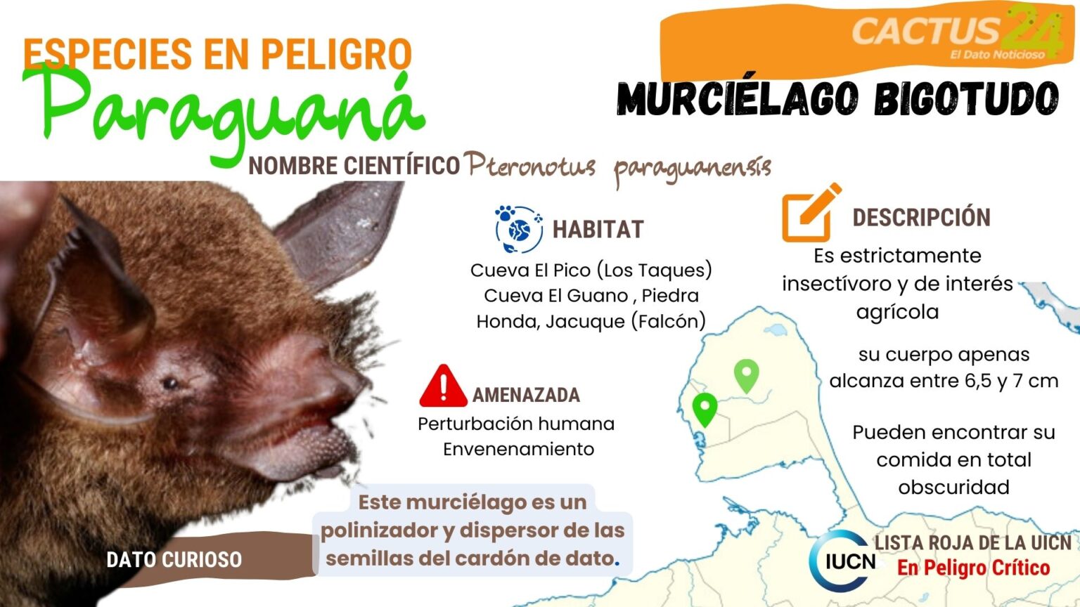 Cinco especies de Paraguaná están en peligro por el sobrepastoreo, la ...