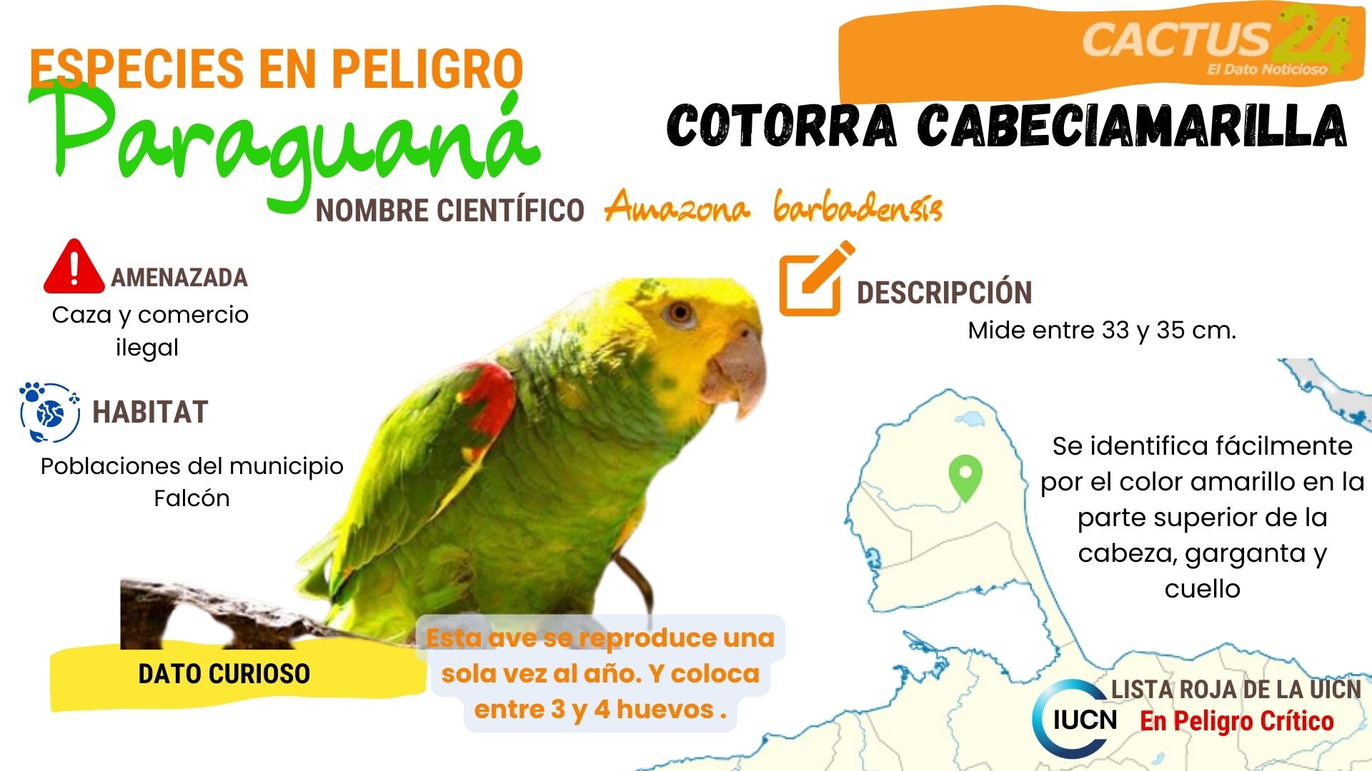 Cinco especies de Paraguaná están en peligro por el sobrepastoreo, la ...