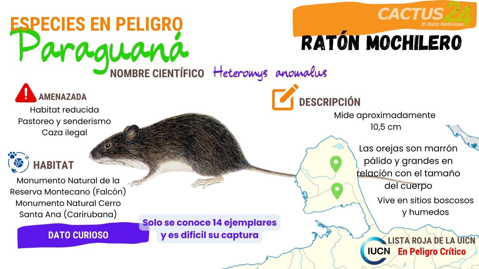 Cinco especies de Paraguaná están en peligro por el sobrepastoreo, la ...